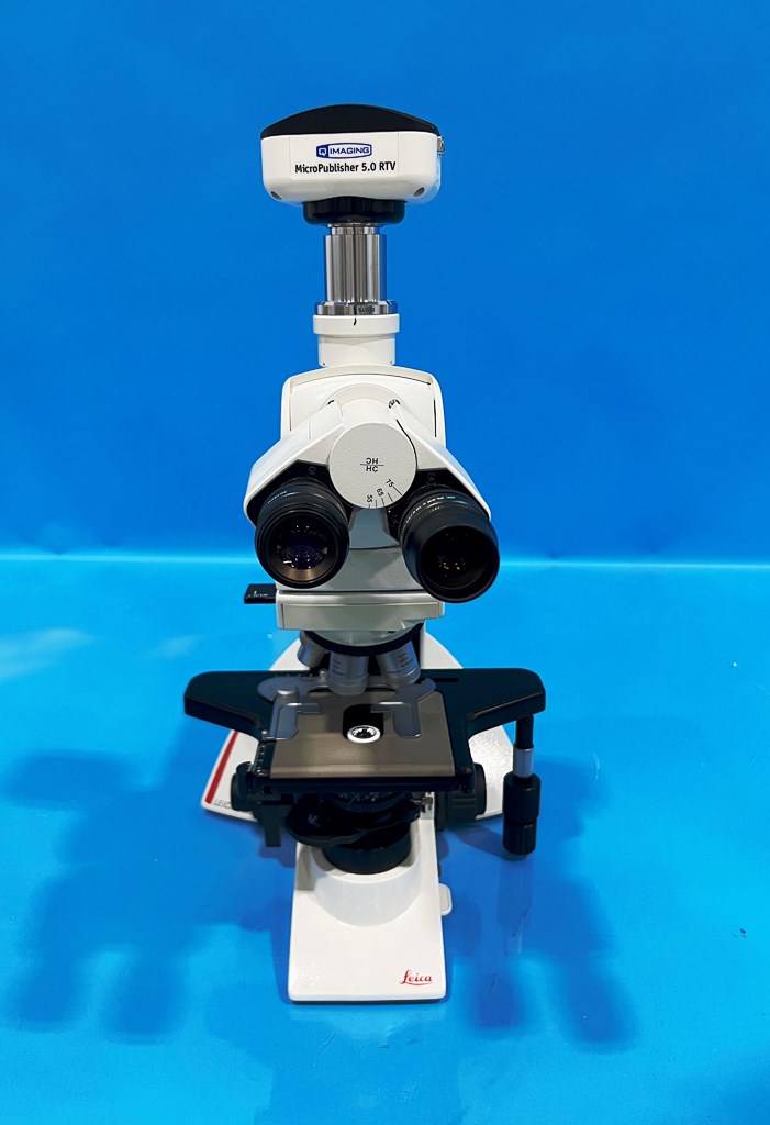 Leica Microscope DM2000 943815 | Used Medical Equipment & PPE Miga ... Leica Microscope DM2000 943815 | Used Medical Equipment & PPE Miga ...
